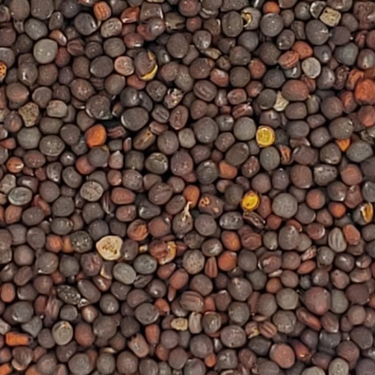 Cover Crops & Forage – Chesak Seed House